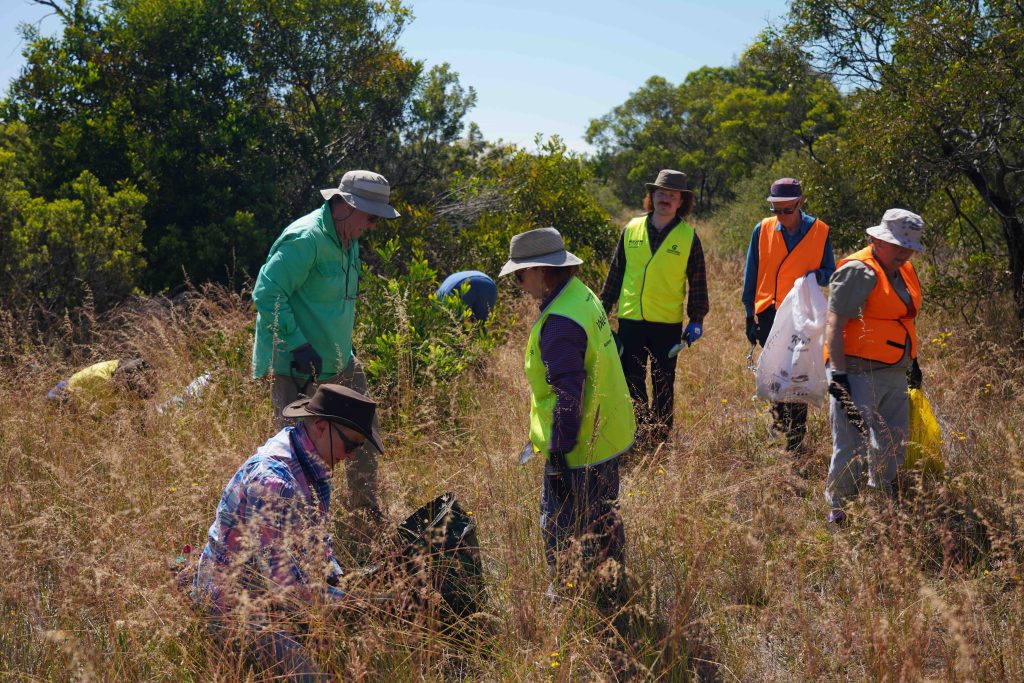 Restoring Ramsar Wetlands of Importance Across Australia - Conservation ...