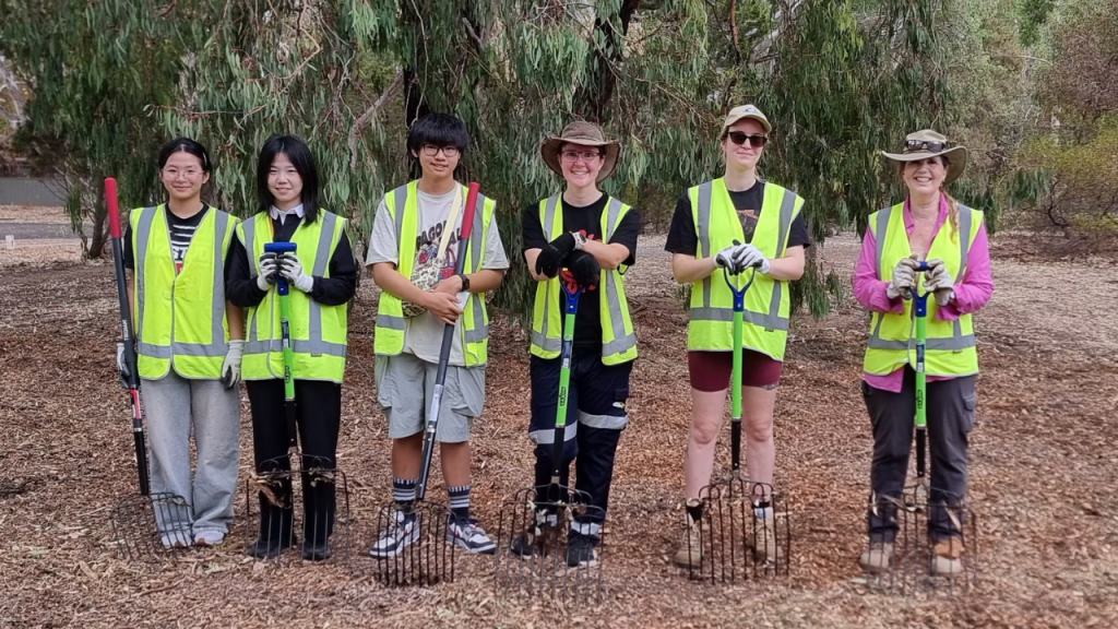 What is National Volunteer Week? (and reasons to celebrate ...