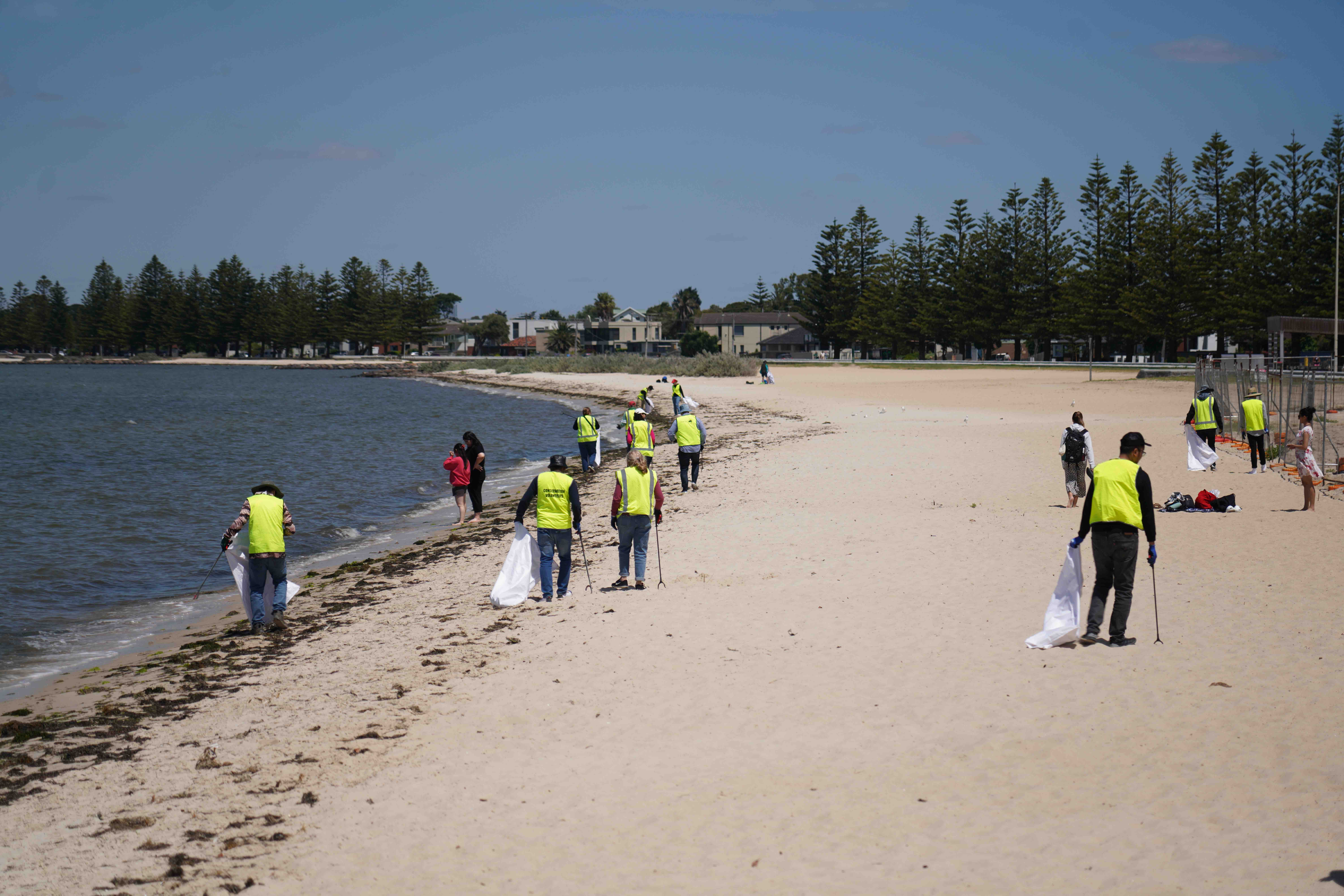 Celebrate World Ocean Day with CVA - Conservation Volunteers Australia
